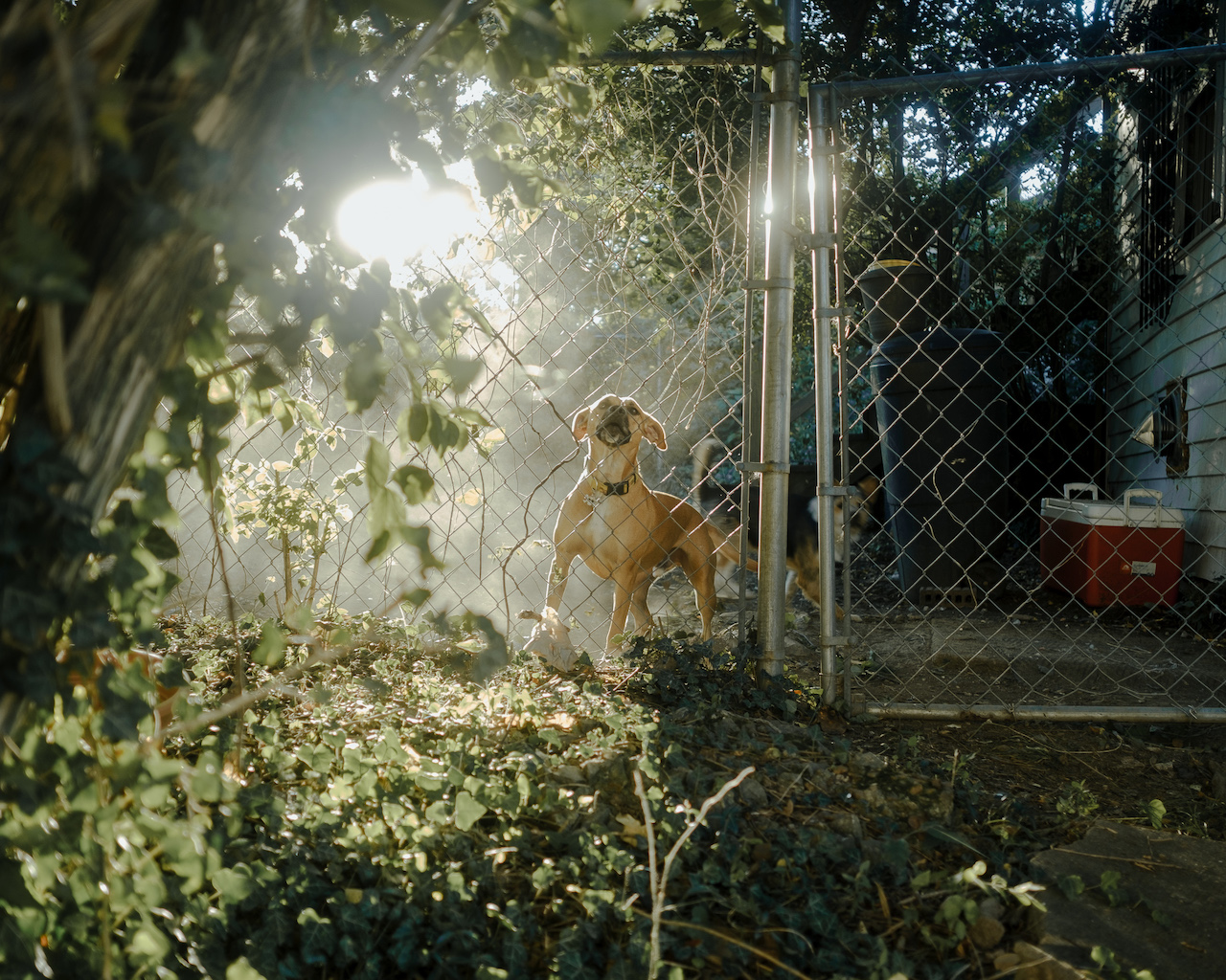 Photography Major | Belmont University