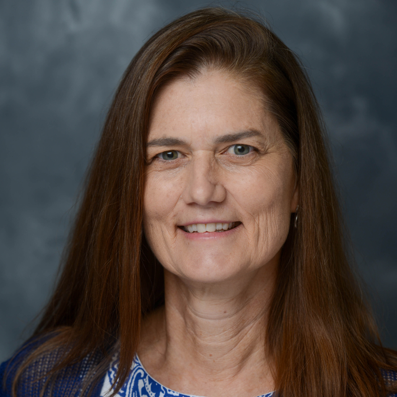 Motion Pictures Faculty | Belmont University